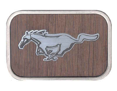 Rectangular Brushed Chrome Car Buckles